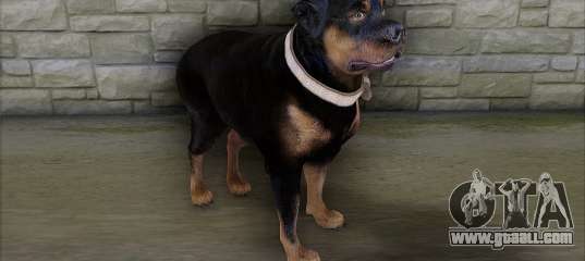 Rottweiler from GTA 5 for GTA San Andreas