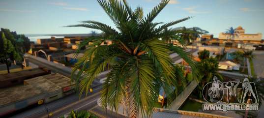 Palm Trees From Definitive Edition for GTA San Andreas