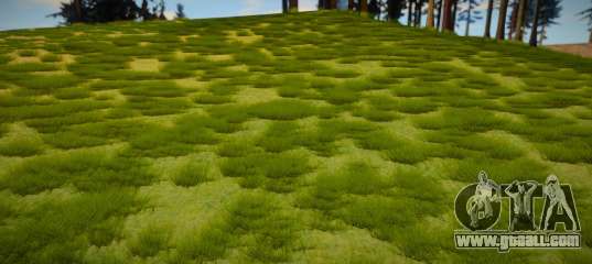 Next Gen Grass Low Version for GTA San Andreas